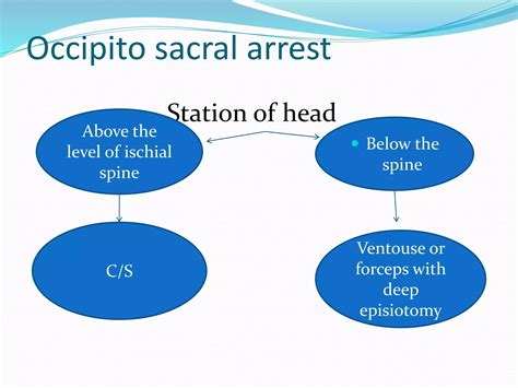 Occipito Posterior Positition Pptx