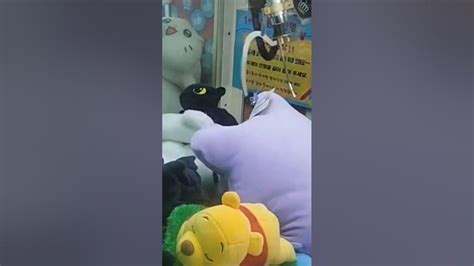 Dragon드래곤길들이기 투슬리스•라이트퓨리 구름제습 인형뽑기 32 Shorts Youtube