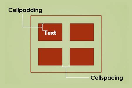 Difference Between Cellpadding And Cellspacing Html Tutorial Php Cn