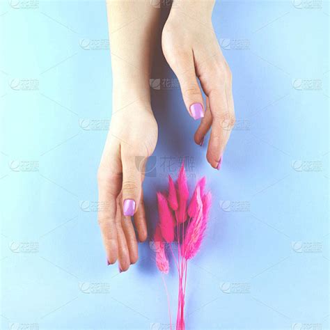 女性的手拿着一束干花，温柔地修了指甲。