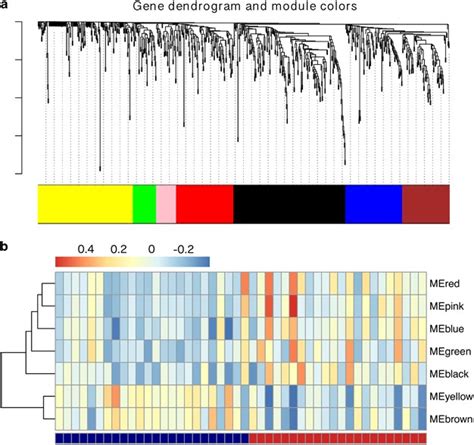 Rnaseq Analysis Identifies Gene Expression Profile