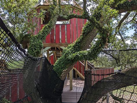 Moncus Park Treehouse Is Now Open