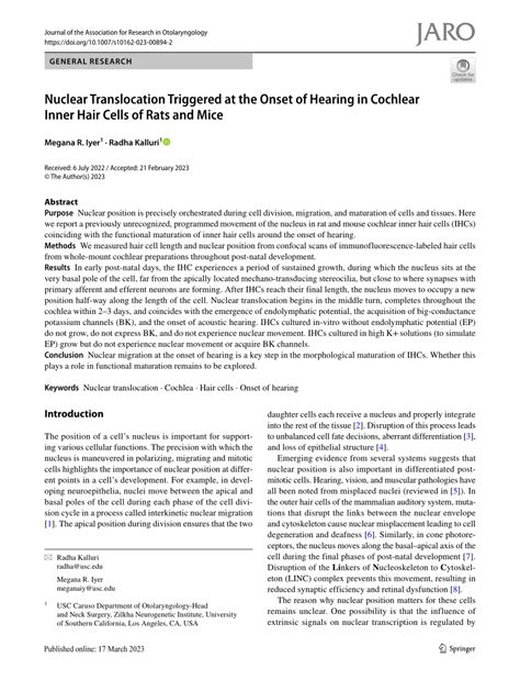 Pdf Nuclear Translocation Triggered At The Onset Of Hearing In