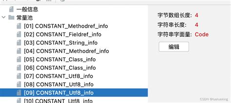 我感觉是最细的java字节码的二进制解析图解了，看懂每一个字节java 二进制解析 Csdn博客