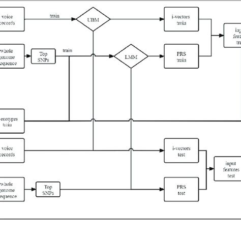 Fivefold Cross Validation Of Voice Gene Data In Each Fold The