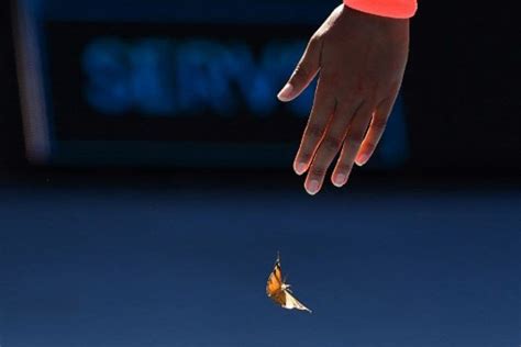 A Butterfly Landed On Japans Naomi Osaka At Australian Open Photos Go