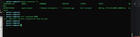 Amazon Web Services Nginx Container Not Connecting Stack Overflow