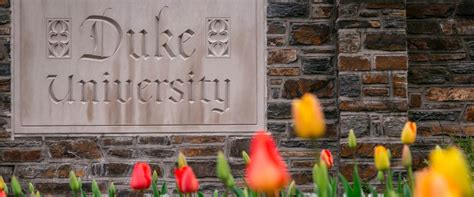 Careers Duke Department Of Population Health Sciences