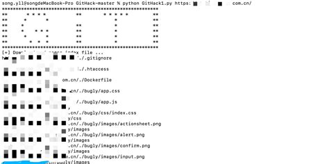 GitHub purple WL Githack git信息泄露漏洞检测