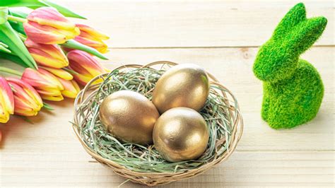 봄 튤립바구니에 황금 부활절 색상 달걀 해피 부활절 장식의 나무 배경에 흰색 깃털 봄 휴가 컨셉 0명에 대한 스톡 사진 및 기타