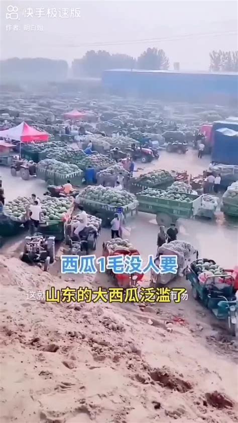 先前中國突然棄單台灣鳳梨，小粉紅不是很愛笑，台灣人一年要吃17公斤的鳳梨嗎？換算就是一年吃10顆而已，這個概念在小粉紅眼裡非常不可思議，因為