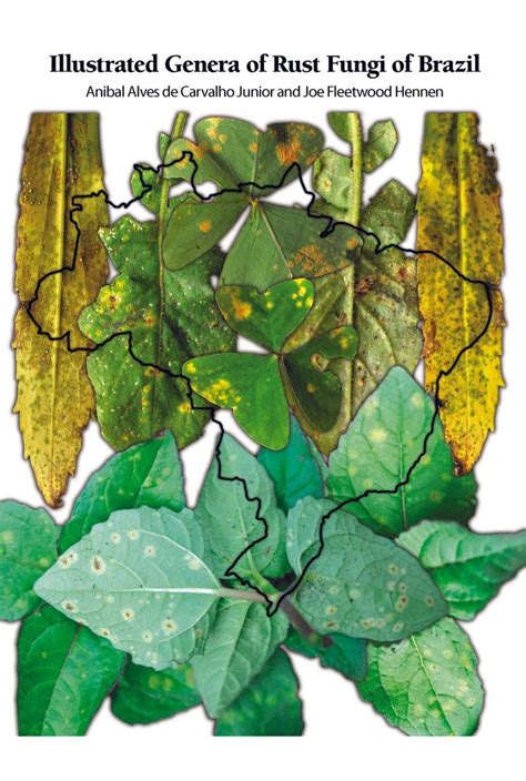 Illustrated Genera Of Rust Fungi Of Brazil Nhbs Field Guides