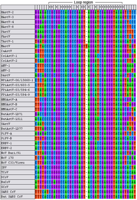 Nucleotide Alignment Of S2m From Various Astroviruses AstV