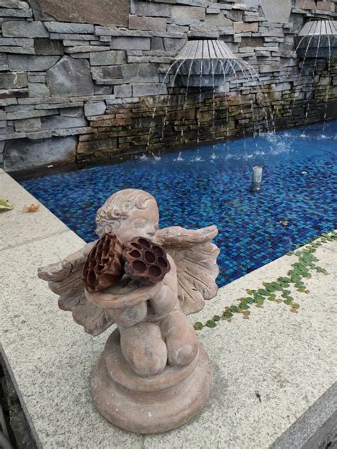 似合う ネロリの花が咲く頃に