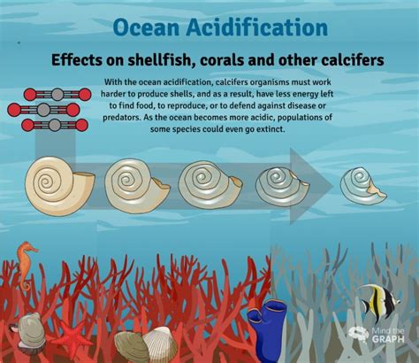 Acidification Of Water Bodies Ias Gyan