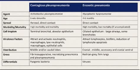 Bacterial Differentials Flashcards Quizlet