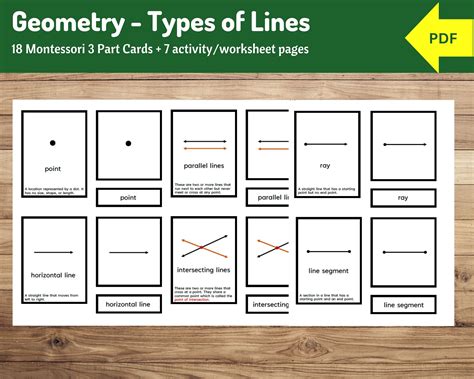 Types Of Lines Worksheet Engaging Activities For Understanding Basic Geometry