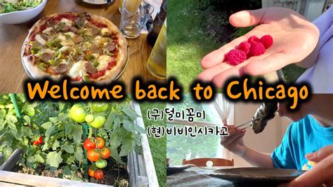 저탄수 미국일상ㅣ한국여행 마치고 시카고로 돌아왔습니다 ㅣ고탄수인이 되버린 비비의 피자먹방ㅣ텃밭가꾸기ㅣ생깻잎김치 만들기레시피까지 Youtube