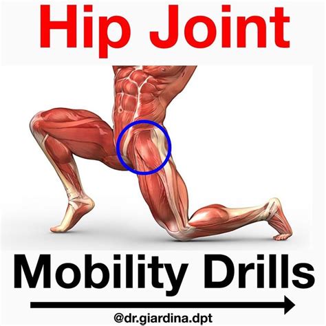 Dr Mike Giardina Dpt Ocs Shared A Post On Instagram 🚨hip Mobility