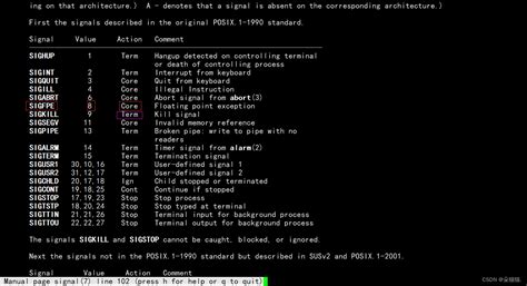 【linux】进程信号“疑问？坤叫算信号吗？“ linux下浮点数 异常 csdn博客