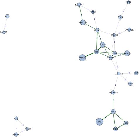 Network Of Significant Gene Co Occurrences Genes Are Represented By