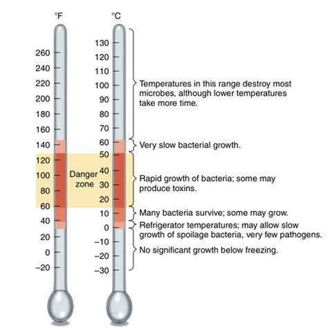 Chapter 6 Microbial Growth Flashcards Quizlet