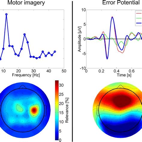 Combined Mi And Ssvep Bci System For Control Of A 2 Dof Artificial Download Scientific Diagram