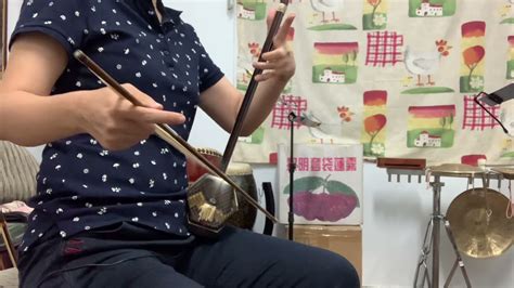 西海情歌 二胡 刀郎 Youtube