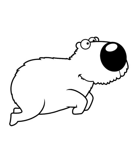 Capybara Tegninger Til Farvelægning Farvelegningcom