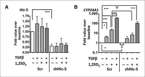 Hic 5 Knockdown In Wpmy 1 Cells Reduced Tgfbmediated Enhancement Of