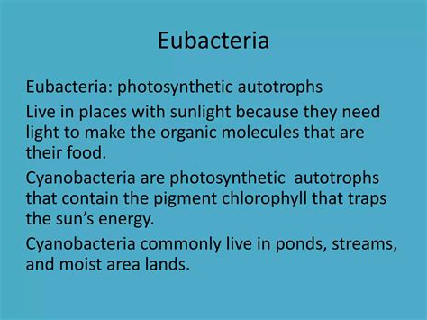 Classification And Bacteria Pptx