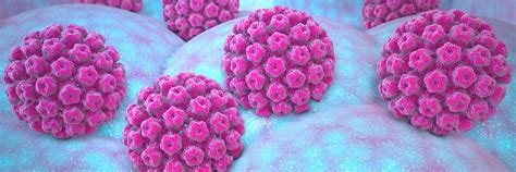 Hpv Tra Campagne Di Screening E Value Based Vaccination” Per