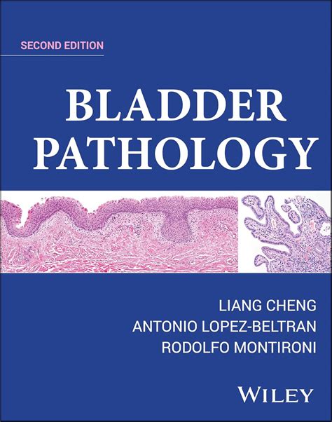 Bladder Pathology 2nd Edition Εκδόσεις Κωνσταντάρας