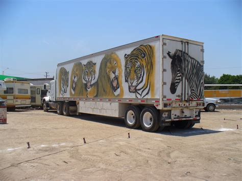 Caja Trailer Taringa