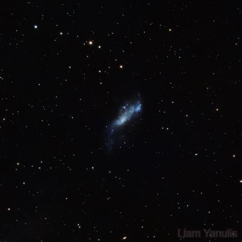 Coddingtons Nebula Astrobin