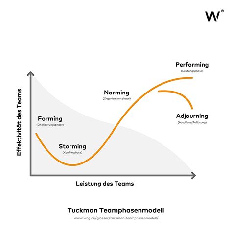 Tuckman Teamphasenmodell 5 Phasen Der Teamentwicklung Erklärt Wcg