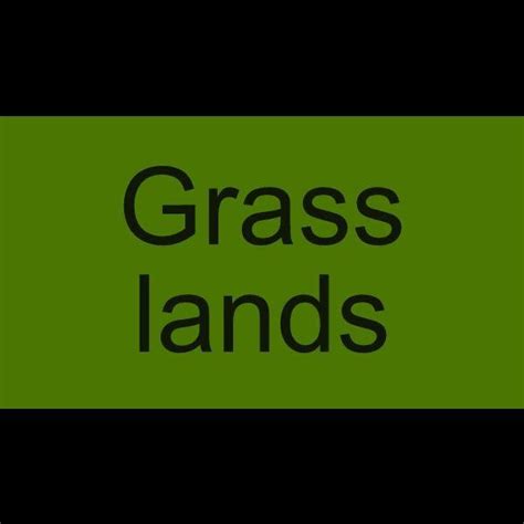 Grasslands Release Date Videos Screenshots Reviews On Rawg