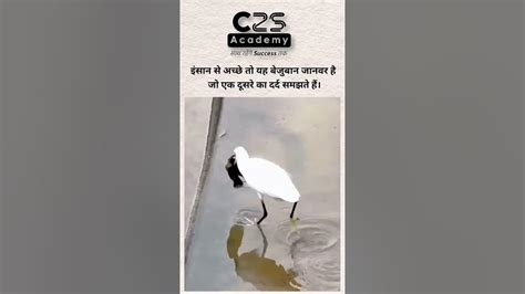 इंसान से अच्छा तो यह बेजुबान जानवर है जो एक दूसरे का दर्द समझते हैं