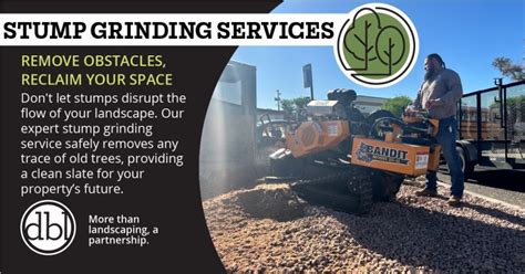 Dbl Llc On Linkedin Stumpgrinding Landscapesolutions
