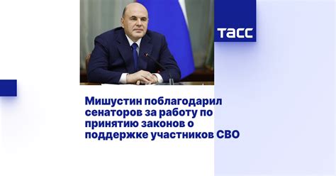 Мишустин поблагодарил сенаторов за работу по принятию законов о поддержке участников СВО