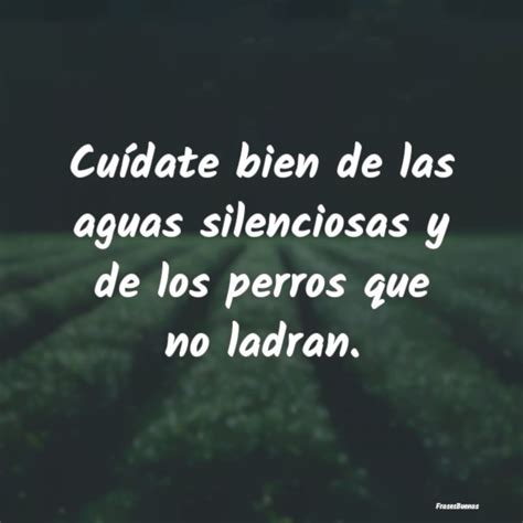 Frases De Hipocresia Frasesbuenas