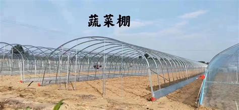 温室大棚加工农业蔬菜大棚 家用日光暖棚 冷棚 玻璃温室连栋大棚 阿里巴巴