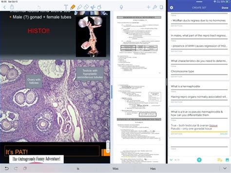 Female Reproductive Pathology Flashcards Quizlet