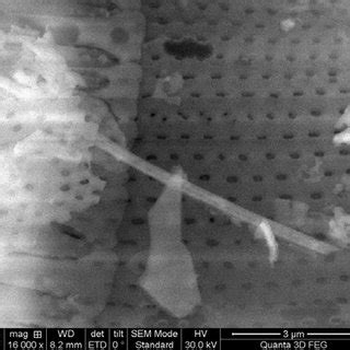 Pdf Phase Transformations Of Amorphous Sio In Diatomite At Temperature Range Of C