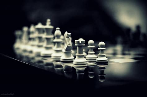 Andrii Leheida в Linkedin В любом коллективе как и в шахматах