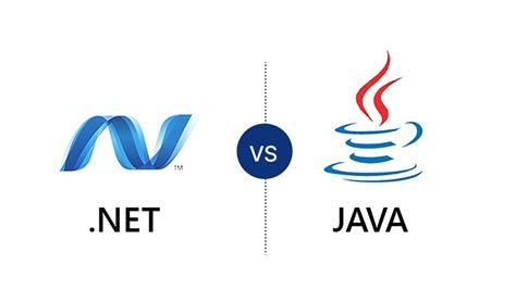 Net Vs Java Which One To Choose For Next Project Rays Technologies