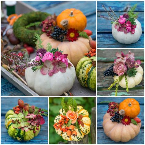 Collage De Las Diversas Imágenes De Calabazas Adornadas Foto De Archivo
