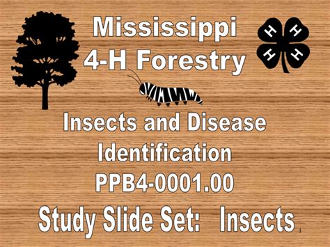 Powerpoint Mississippi State University Extension Service