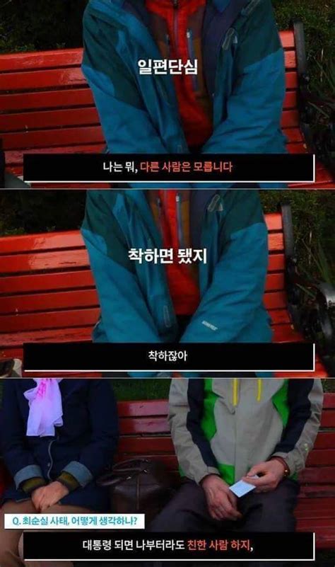 박근혜 지지 이유 인스티즈instiz 이슈 카테고리