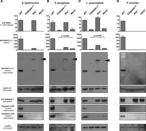 Multiprotein Complexes Semantic Scholar